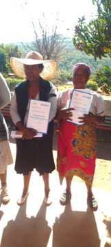 Welcome | Avocado Vision